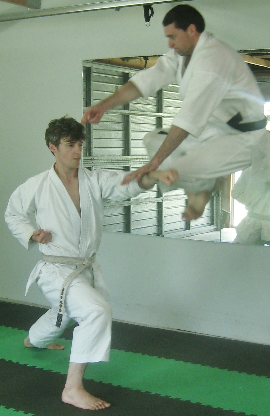 André Bertel's Karate-Do: December 2010