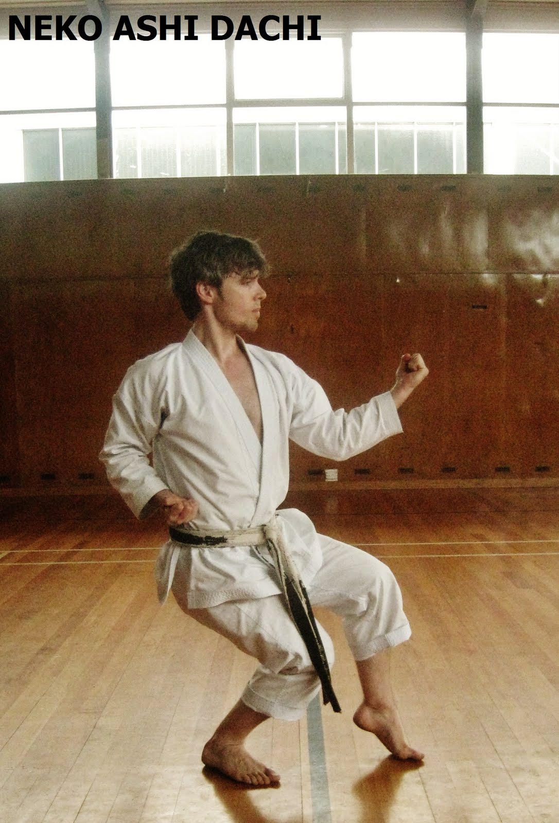 André Bertel's Karate-Do: Correct shomen & hanmi