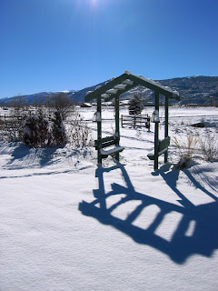 Rocky Mountain Gardener: Winter interest in the garden