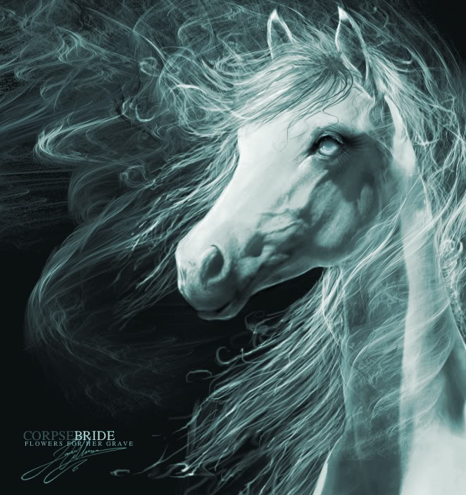 Hobby rajz: Hogyan rajzoljunk lovat