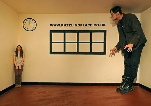 moo moo moo: optical illusion. perspective manipulation.