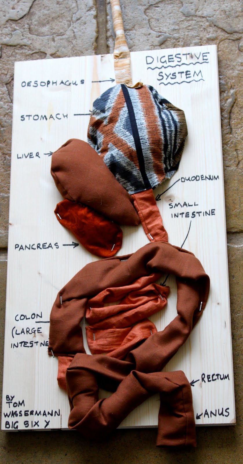 CLARE WASSERMANN'S Threads of Loveliness : Slow Cloth begins and some ...