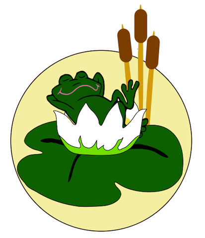 Creating in Carolina: Do Not Disturb the frog...