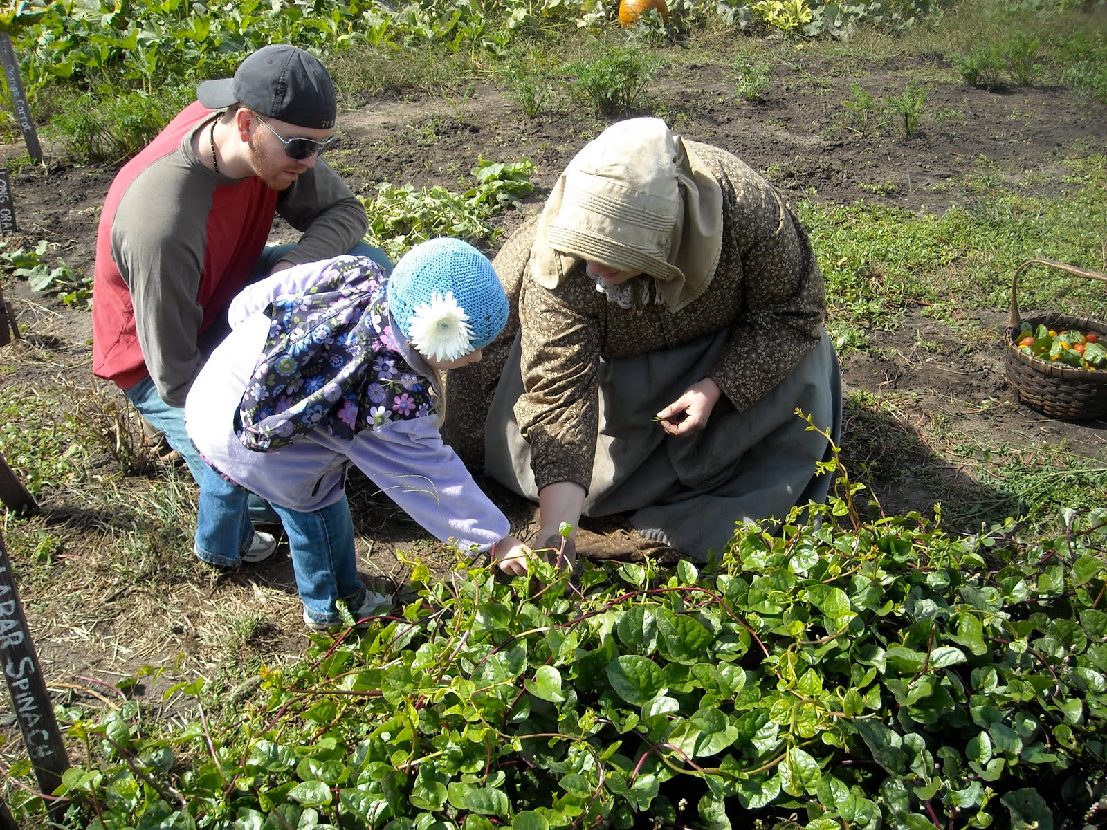 Foodie 4 Healing: Oliver Kelley Farm Garden