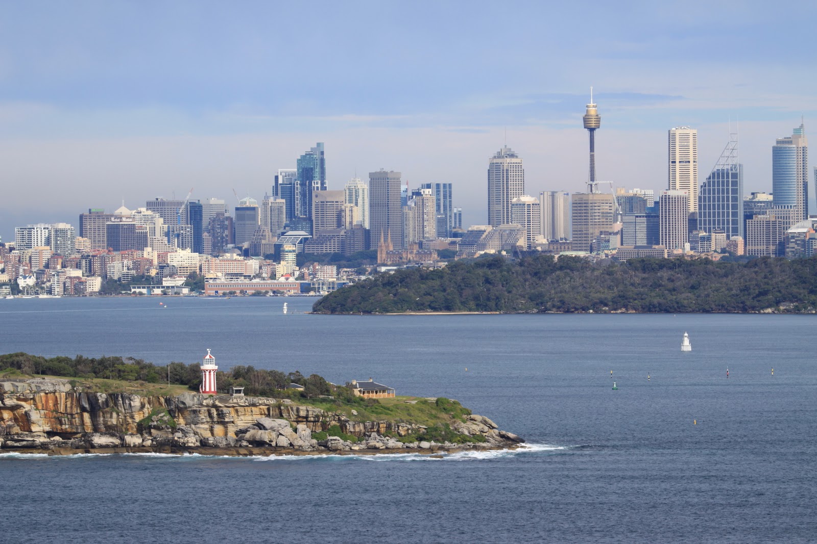 Redgannet: North Head, Sydney, Australia