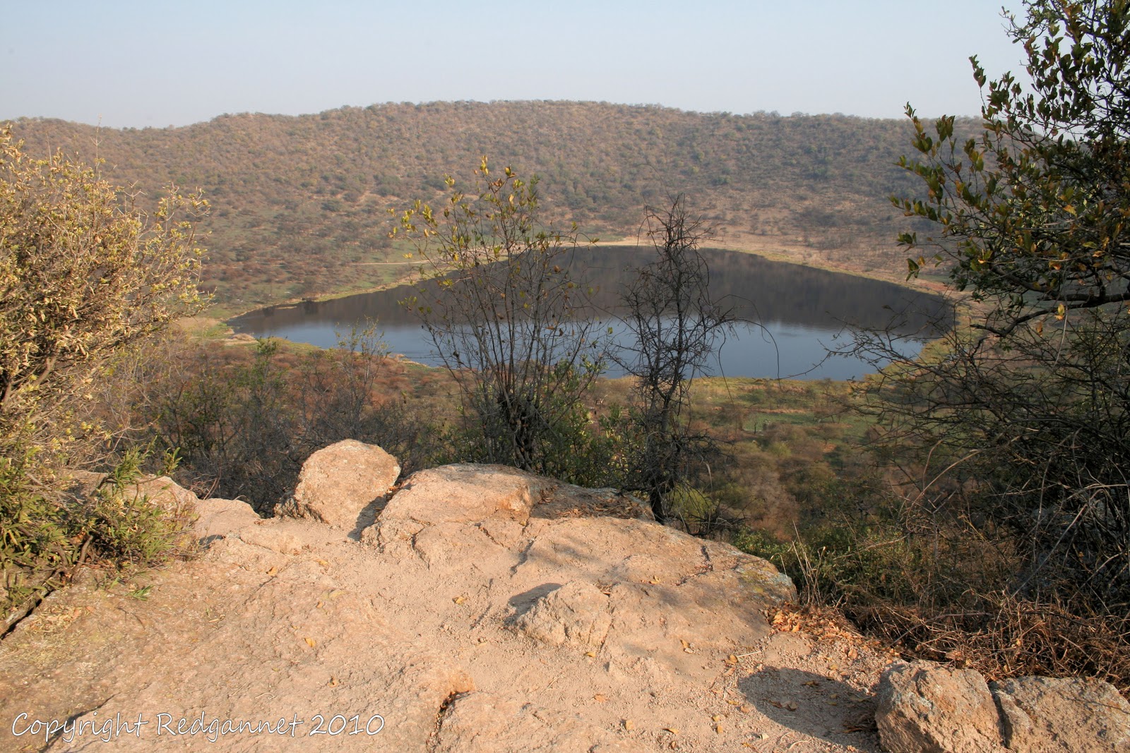 Redgannet: Tswaing Crater, Johannesburg, JNB, South Africa