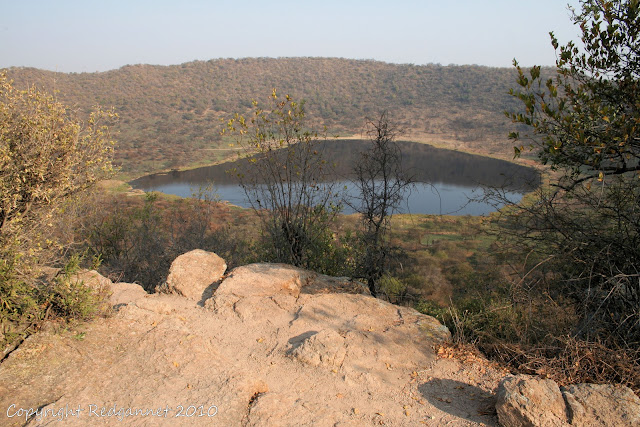 Redgannet: Tswaing Crater, Johannesburg, JNB, South Africa