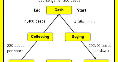 Starter Investor: Marginal Investor Swings with the Stock Price