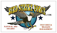 Bird Strike Force: Bird Strike Force Pest Bird Control -- Naturally