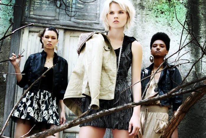 SHASA COLLECTION: SHASA COLLECTION