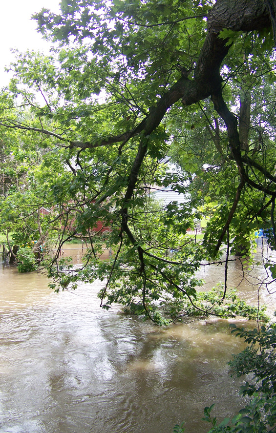 Racine Post: Flood photos from Island Park ...