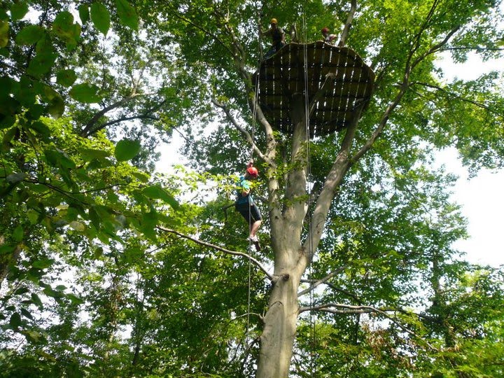 My Mohican Adventures: Tree Frog Canopy Tour
