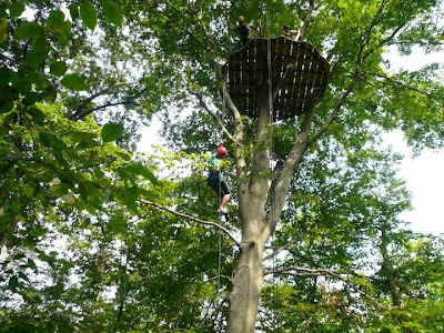 My Mohican Adventures: Tree Frog Canopy Tour