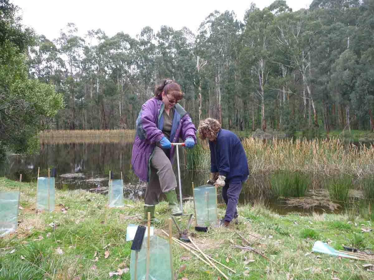 Kinross Chook Farm – UGLN