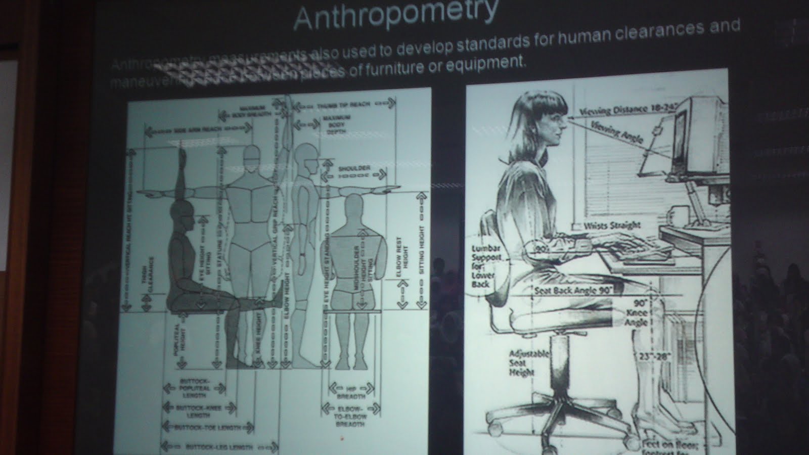 α L¶ € ñ G ấ L ấ x ¥: Cubes and human dimension