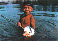 Índios: Alimento - Pesca