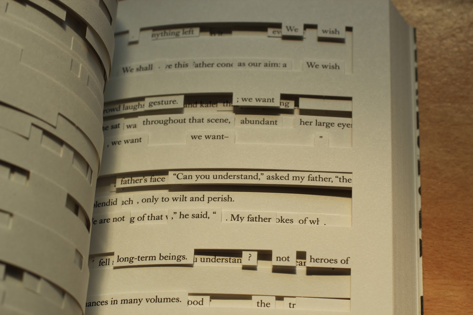 days fall like leaves: Jonathan Safran Foer - Tree of Codes