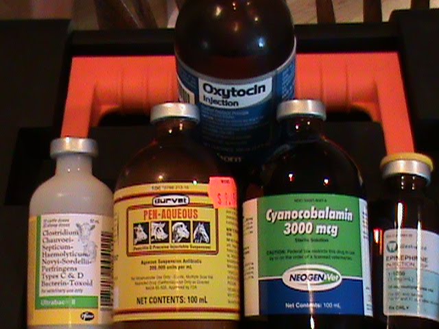 Homestead ...... From Scratch: Medicine Woman