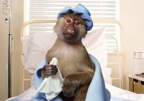 The Cottage Cheese: Under the Weather