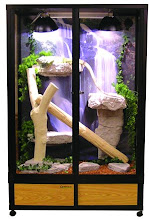 Custom Snake Cages: How To Build A Custom Snake Cage