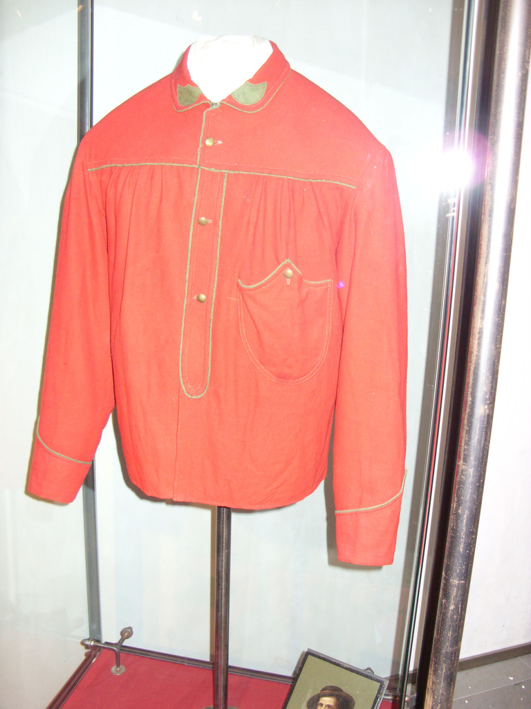 THE ITALIAN WARS OF INDEPENDENCE: THE FRENCH