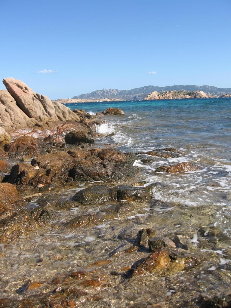 THE ITALIAN WARS OF INDEPENDENCE: GARIBALDI THE HEART OF ITALY .( Viva ...