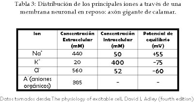 Acercando la biofísica: Potenciales de equilibrio y ecuación de Nernst