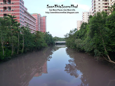 Sungei Api Api Park Mangroves