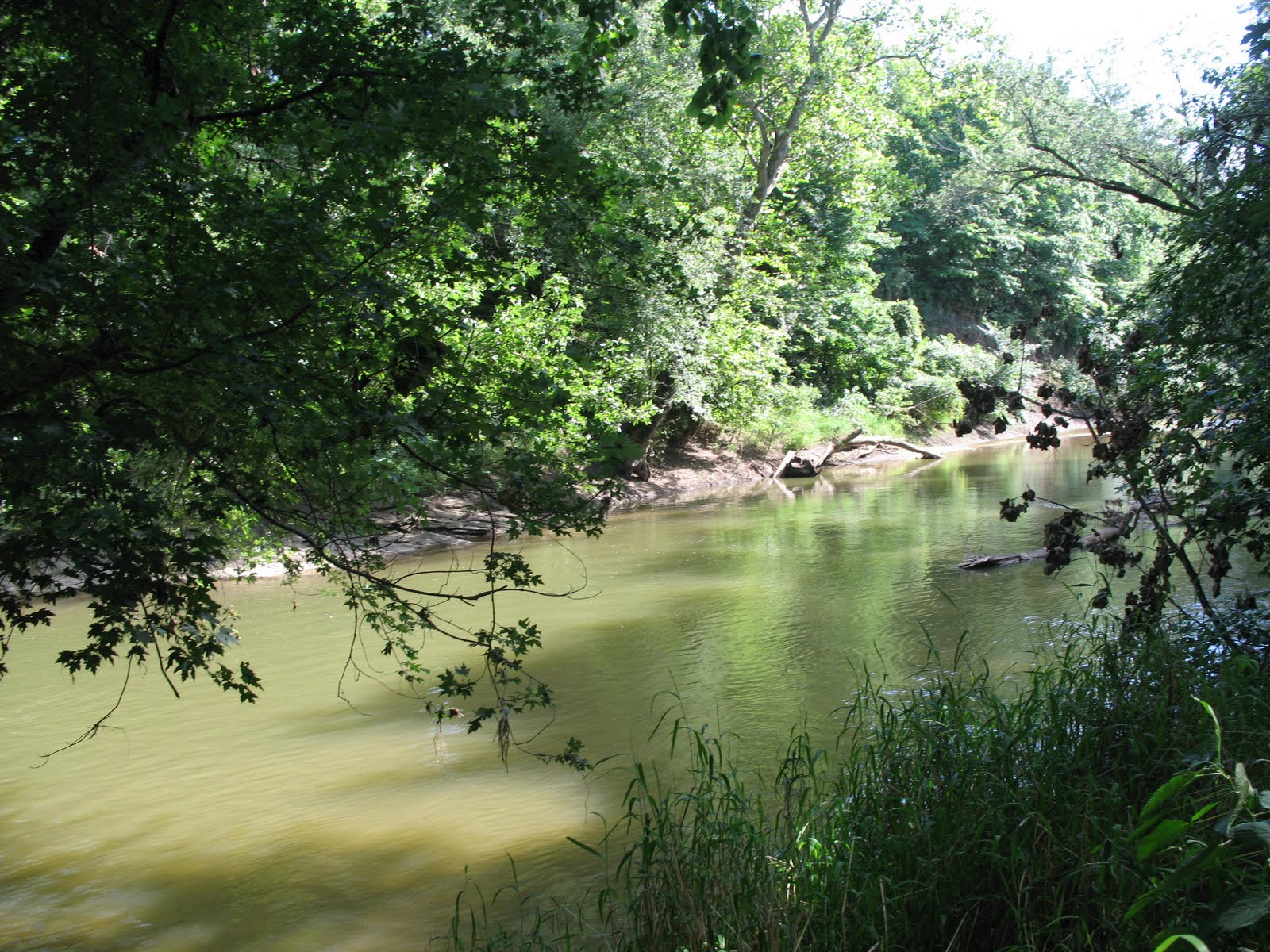 HH Photography: Summer in Indiana