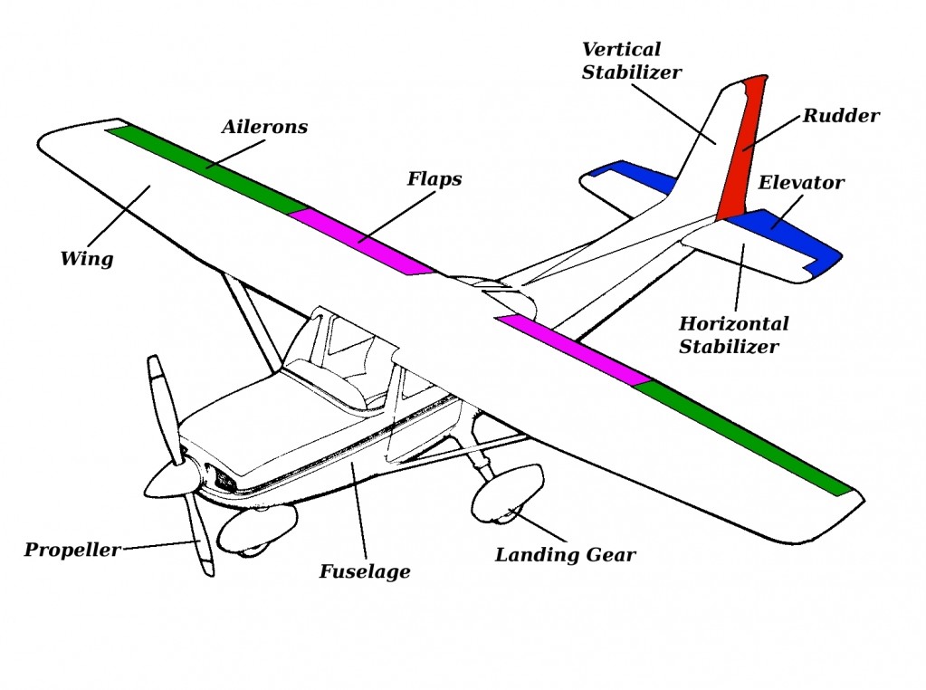 Flights and Physics: The Basics of a Successful Flight