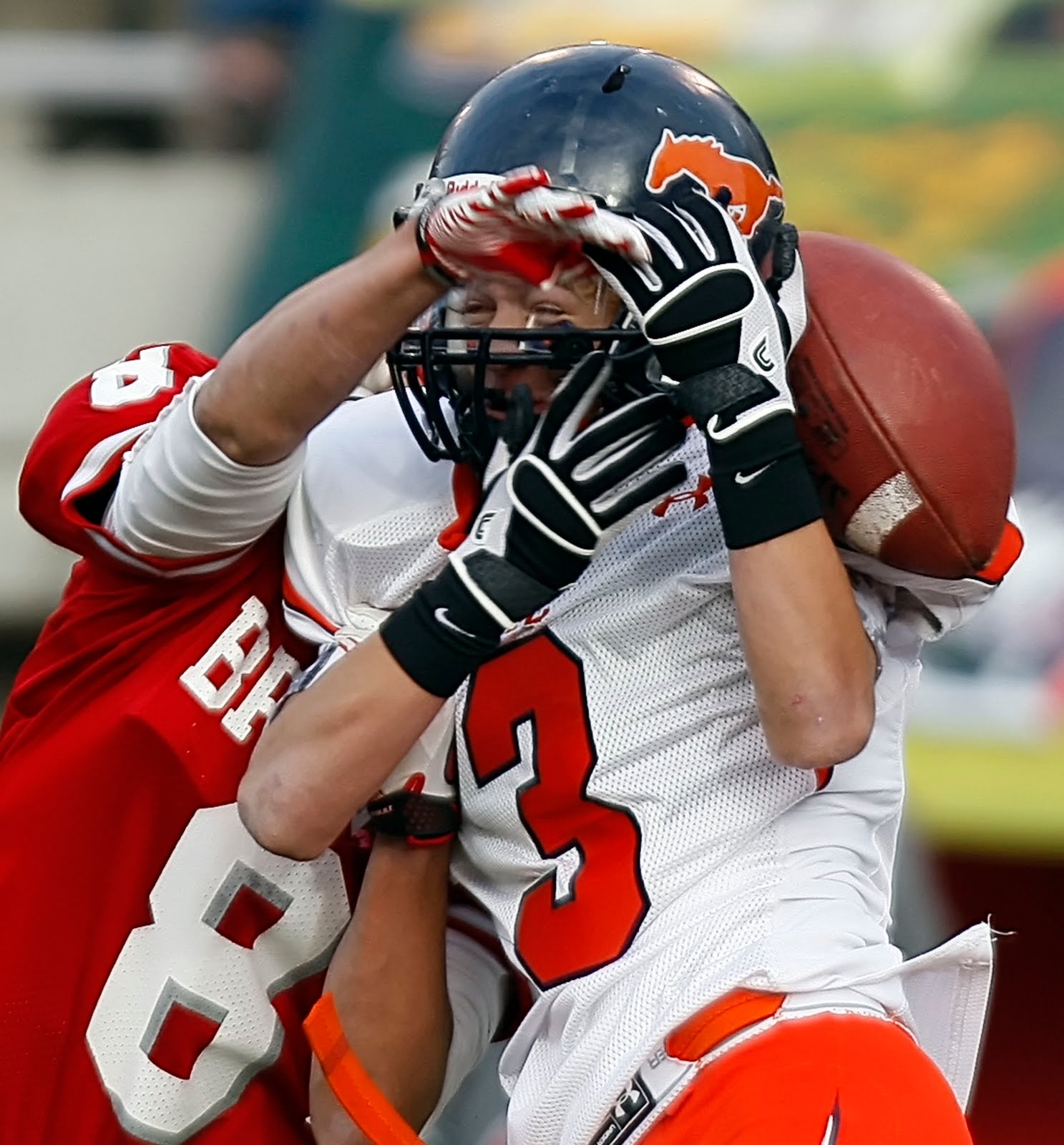 Scott G Winterton Photographer: 11/14/10 - 11/21/10