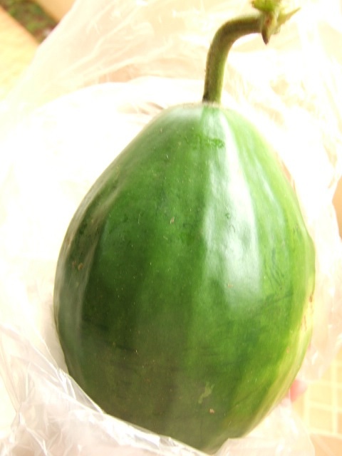 PECADO DA GULA: É de comer???