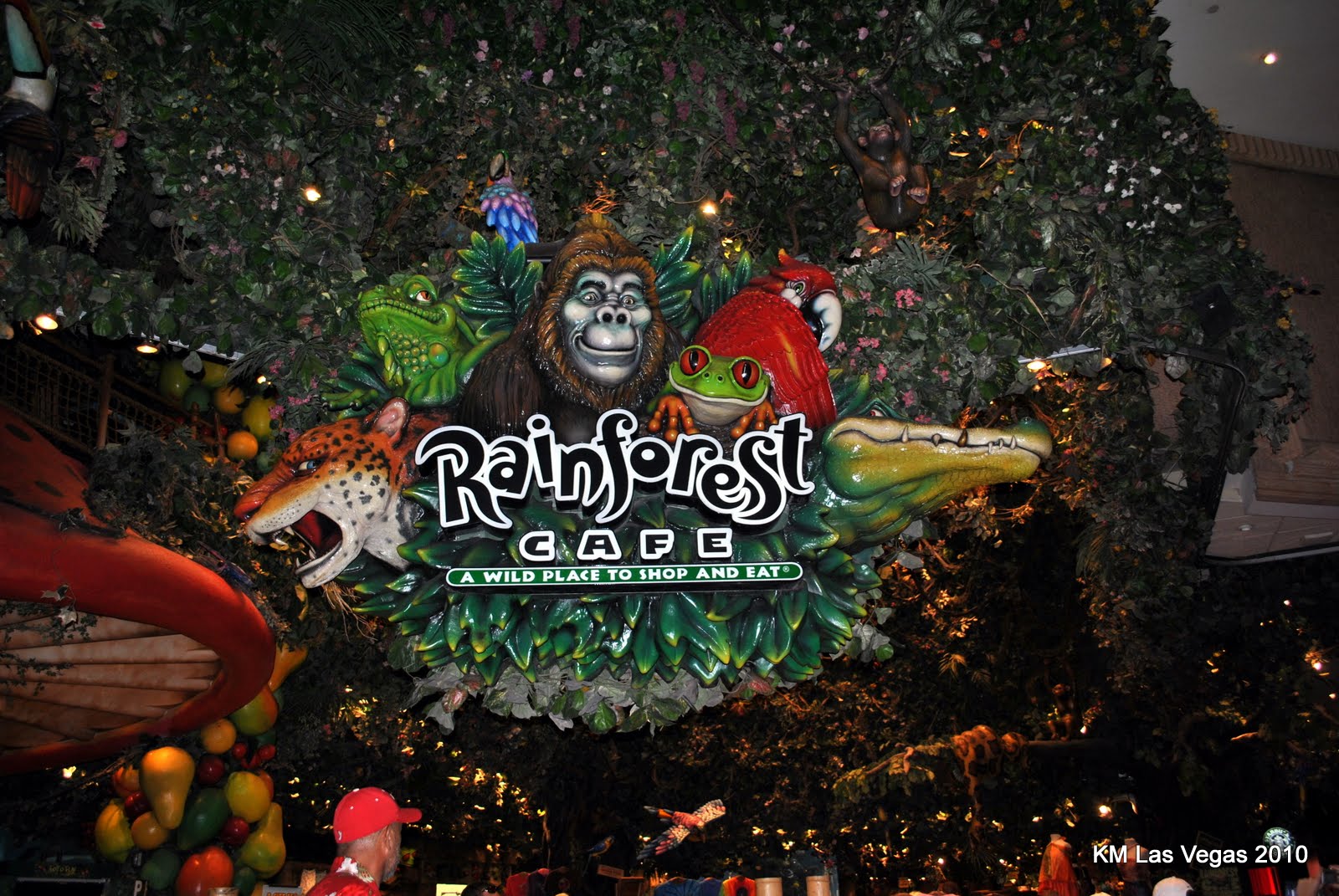 Treasured MOM-ents: It's a Jungle inside... Rainforest Cafe