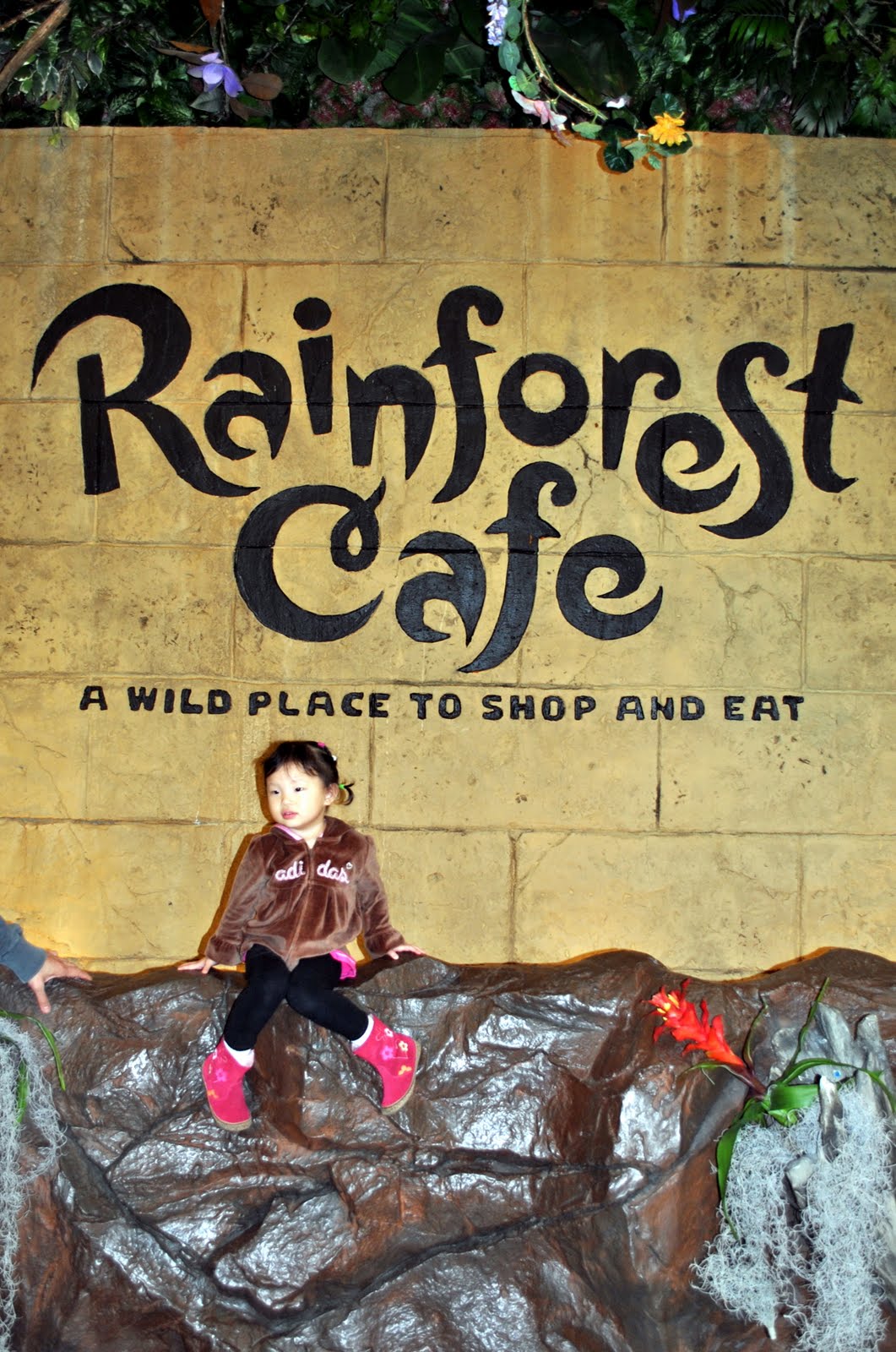 Treasured MOM-ents: It's a Jungle inside... Rainforest Cafe