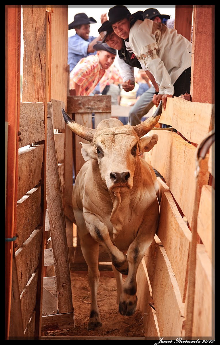 2009 - A picture each day - 2010: April 2010