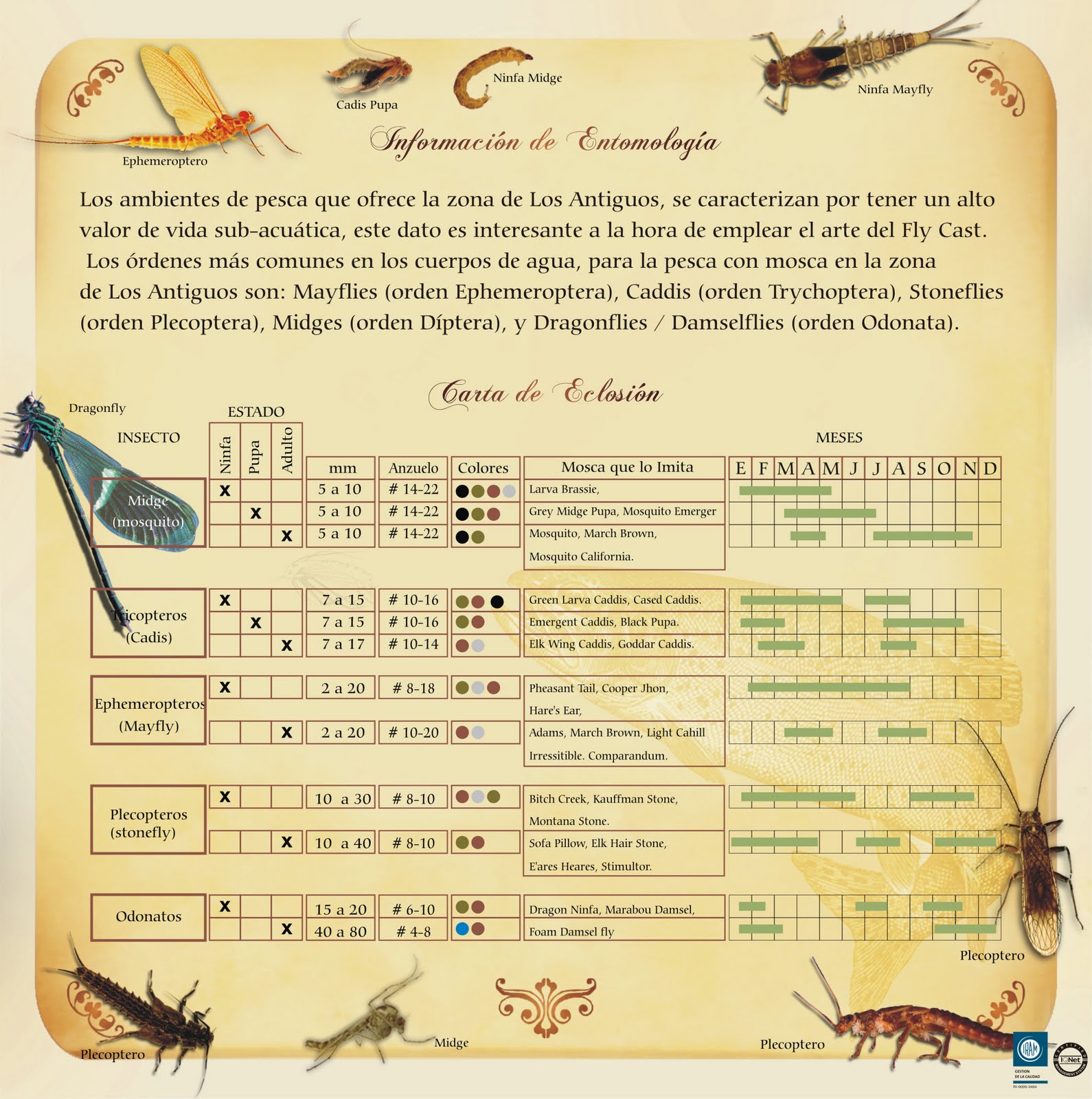 Pescando con Mosca en Los Antiguos: Carta de Eclosión de Insectos