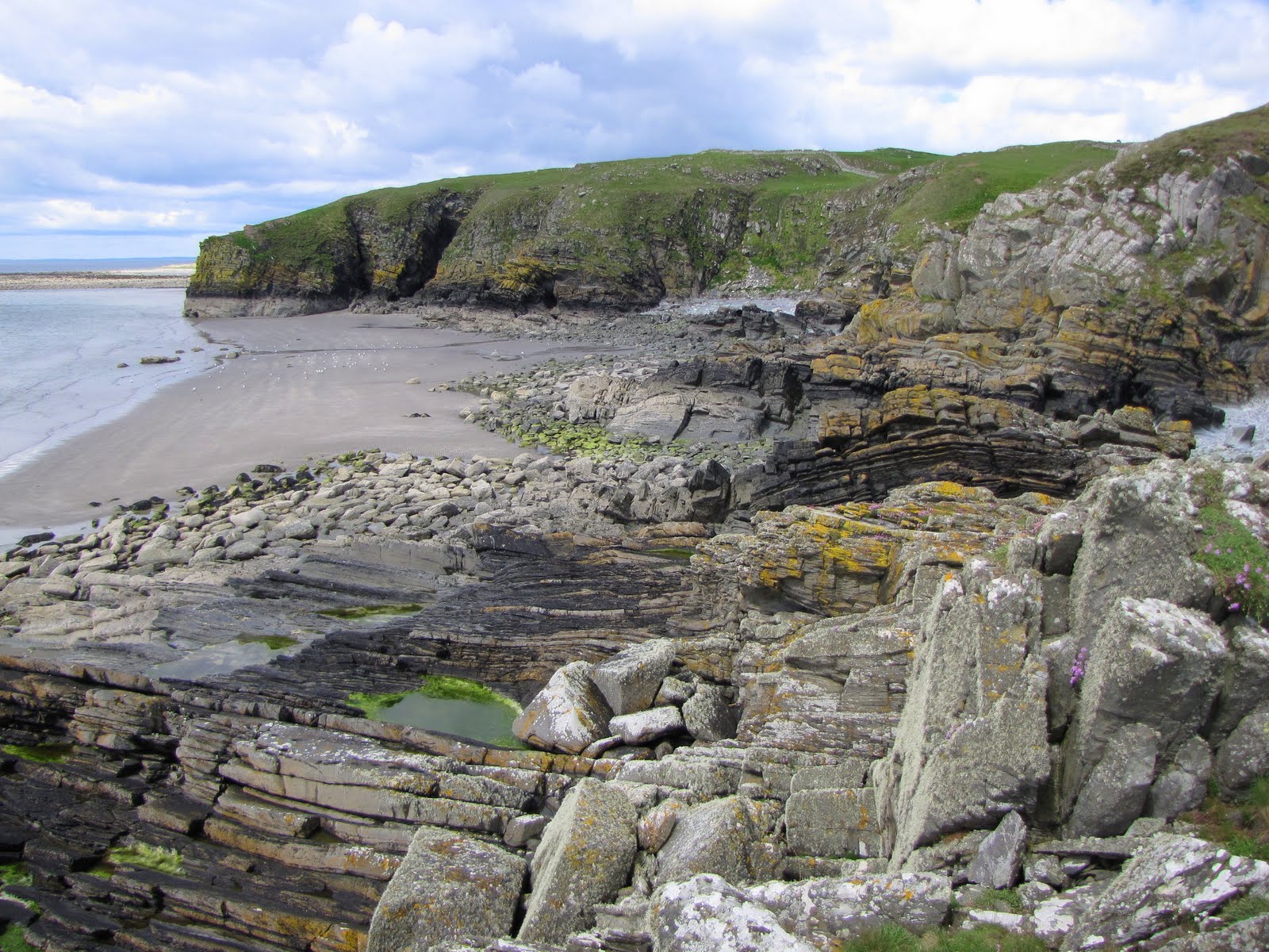 The Glebe Blog: Strata and Seashore 6th of May 2010