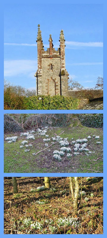 The Glebe Blog: Wigtownshire Ramblers-Glasserton Circular February 2010