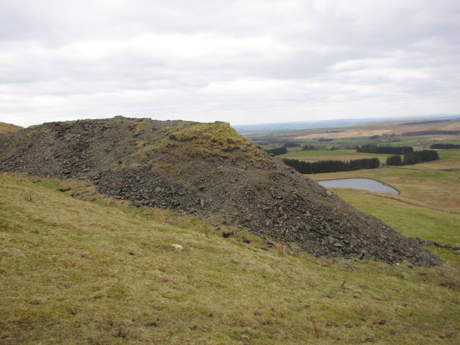 The Glebe Blog: Pibble