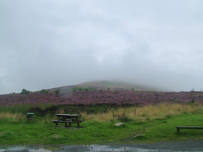 The Glebe Blog: A few days in Fife-Falkland Hill