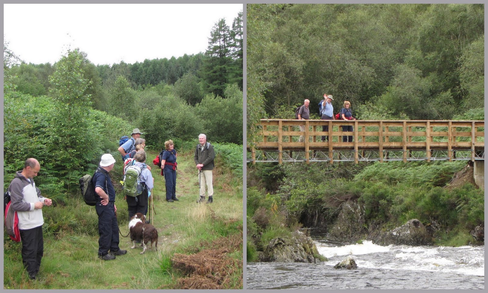 The Glebe Blog: Wigtownshire Ramblers Stroan Bridge Circular August 2010