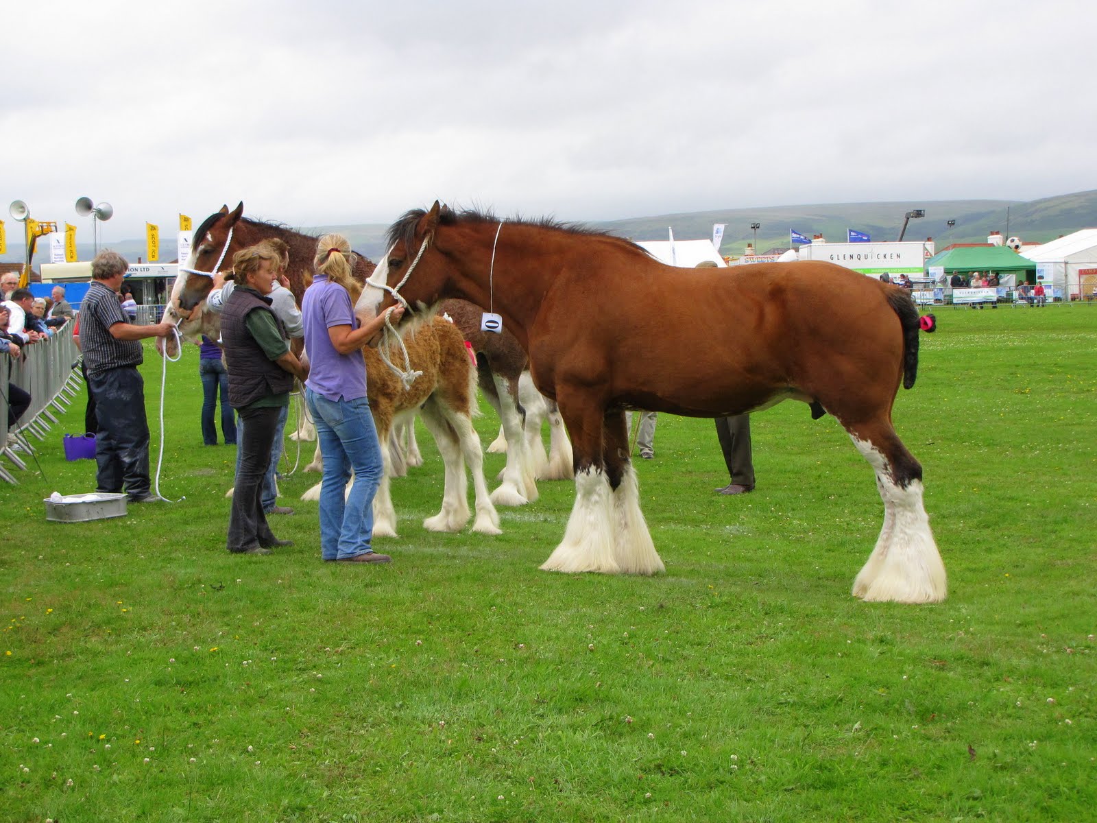 The Glebe Blog: Stranraer Show Pictures 2010