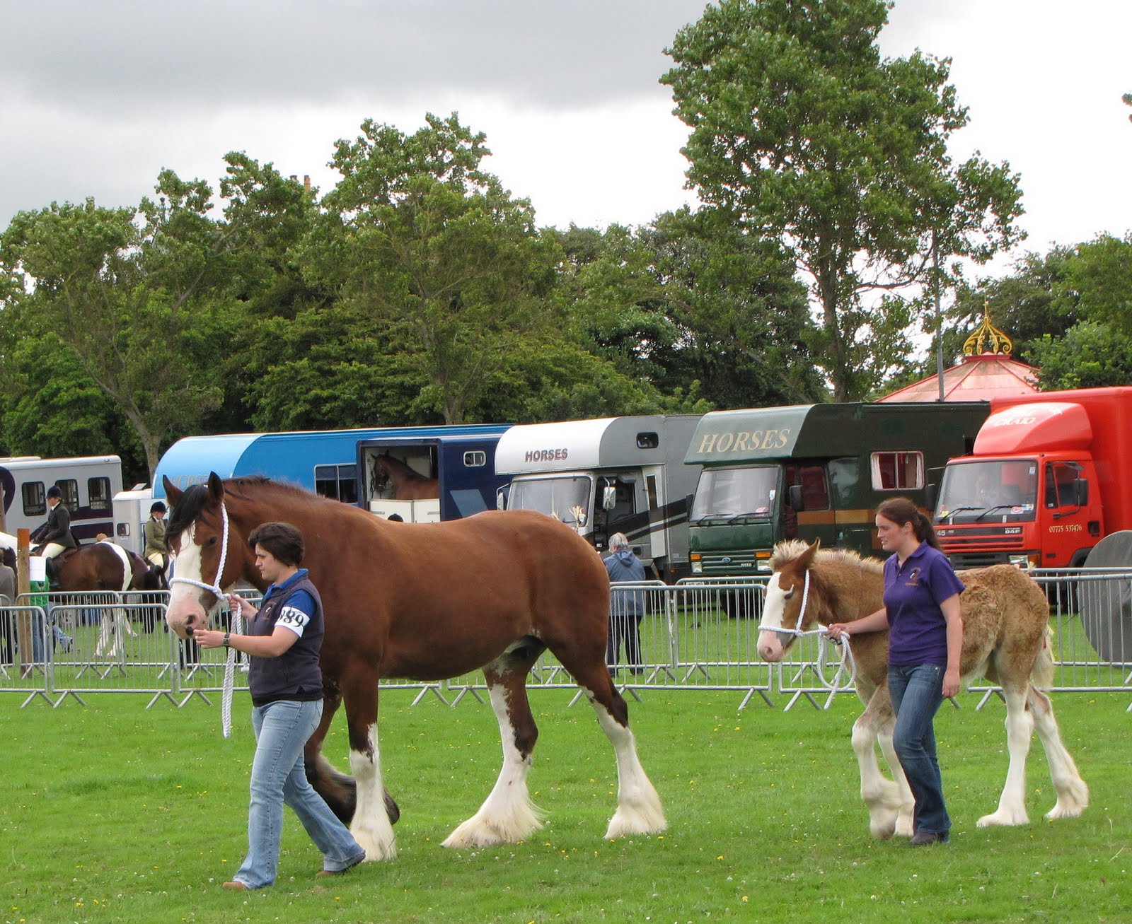 The Glebe Blog: Stranraer Show Pictures 2010