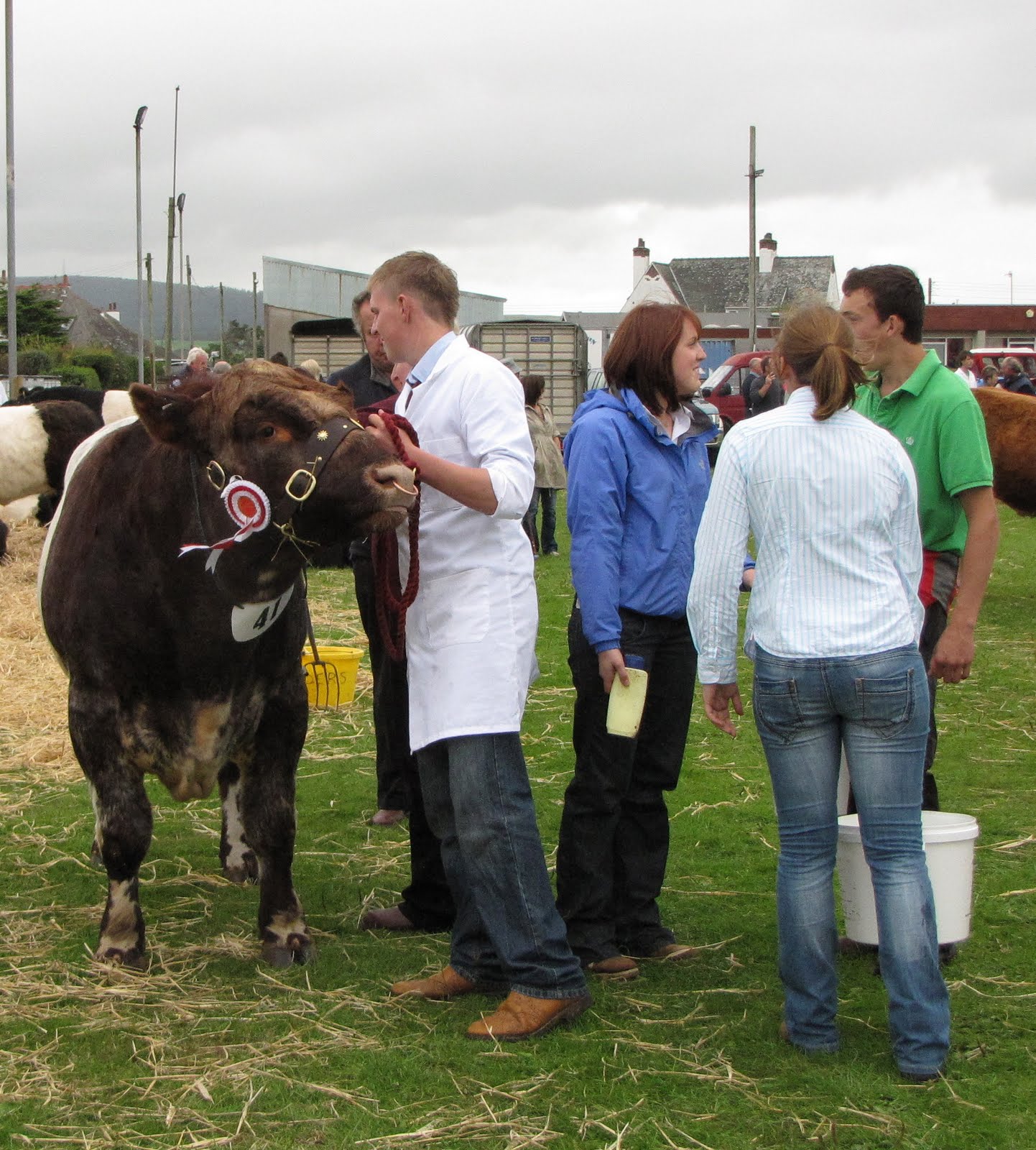 The Glebe Blog: Stranraer Show Pictures 2010