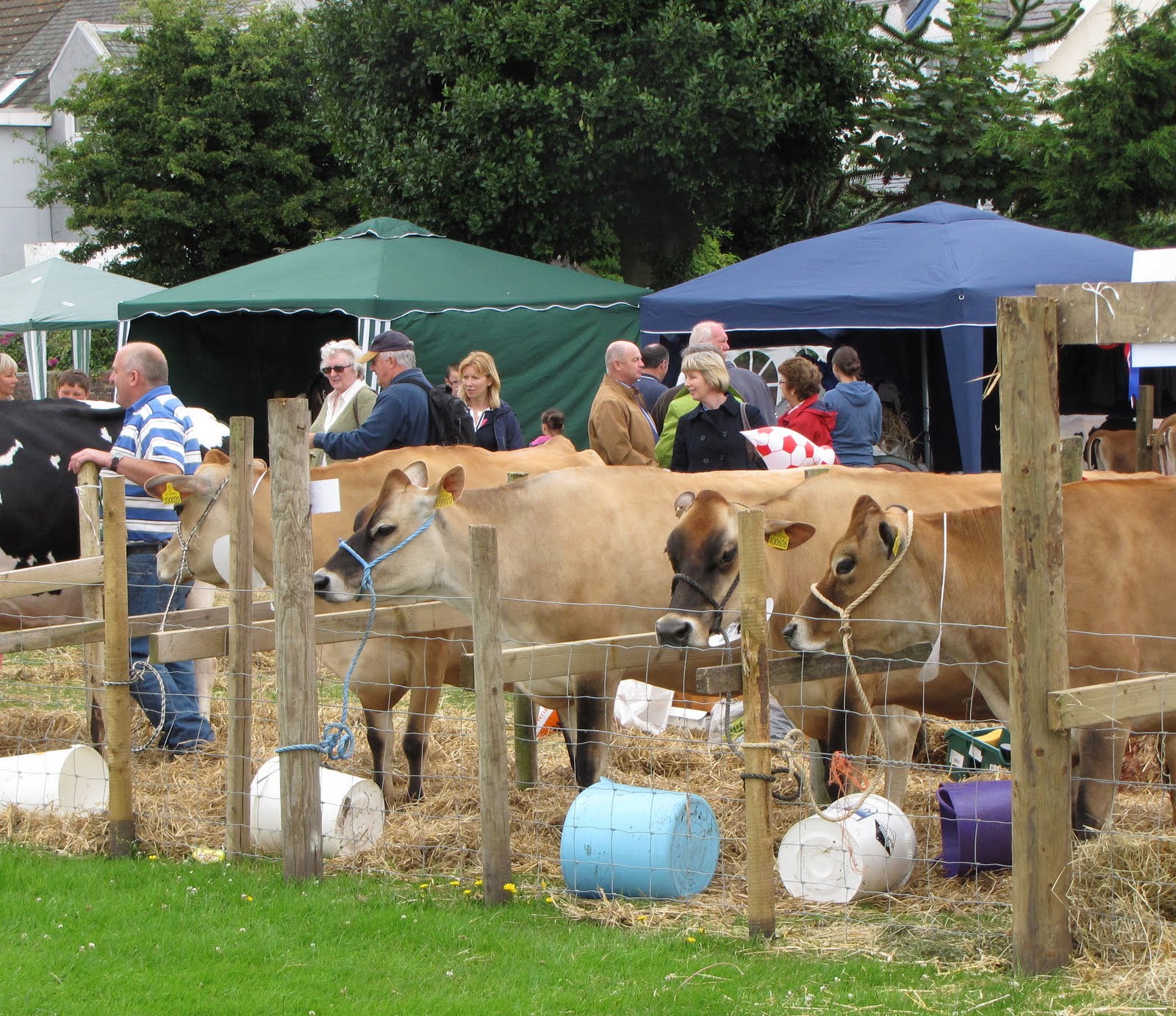 The Glebe Blog: Stranraer Show Pictures 2010
