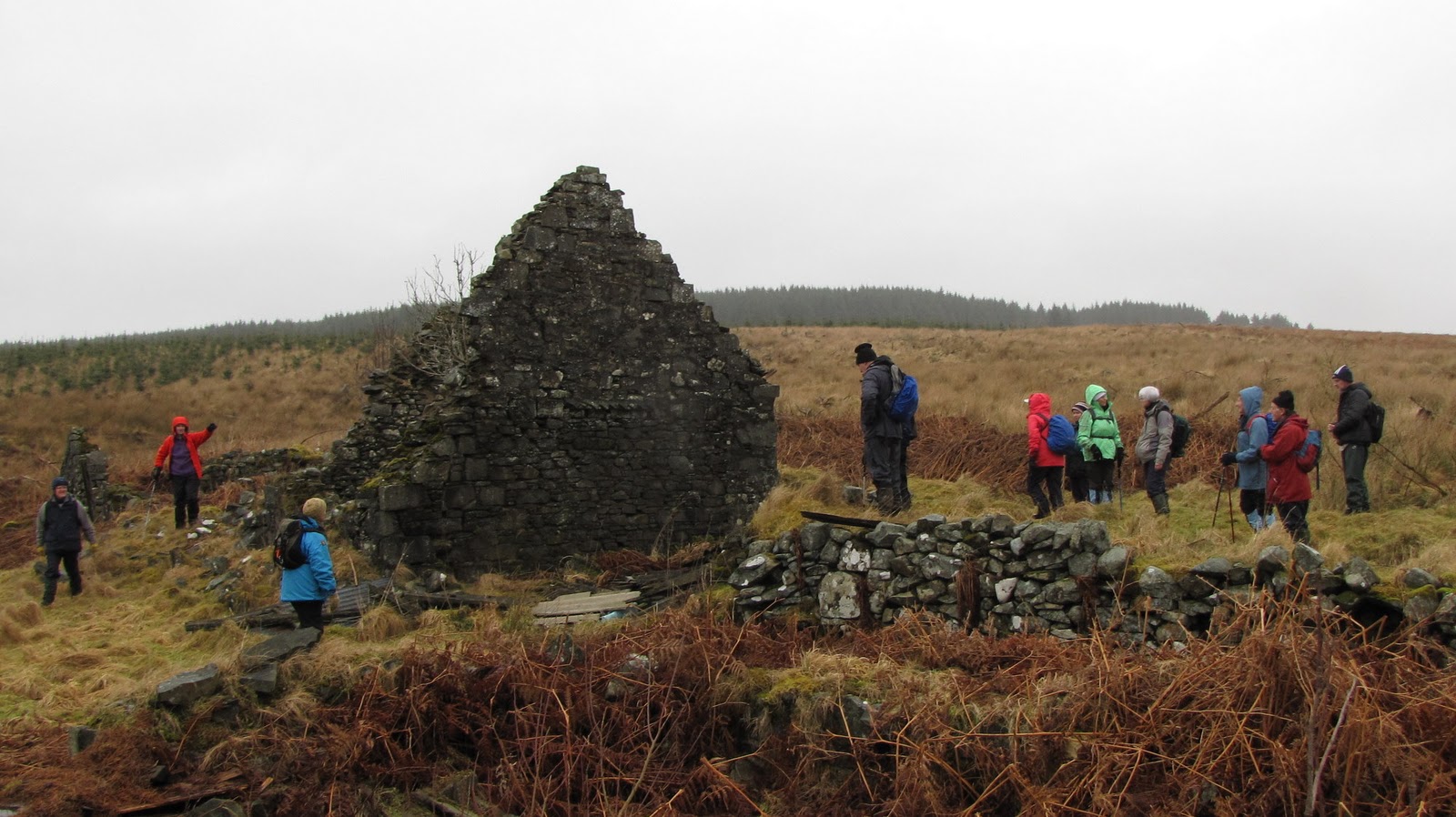 The Glebe Blog: Wigtownshire Ramblers-Derry Farm to Wells o' the Rees ...