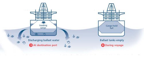 Sistem Air Balast Di Kapal Dan Berbagai Permasalahanya - MESIN dan KAPAL