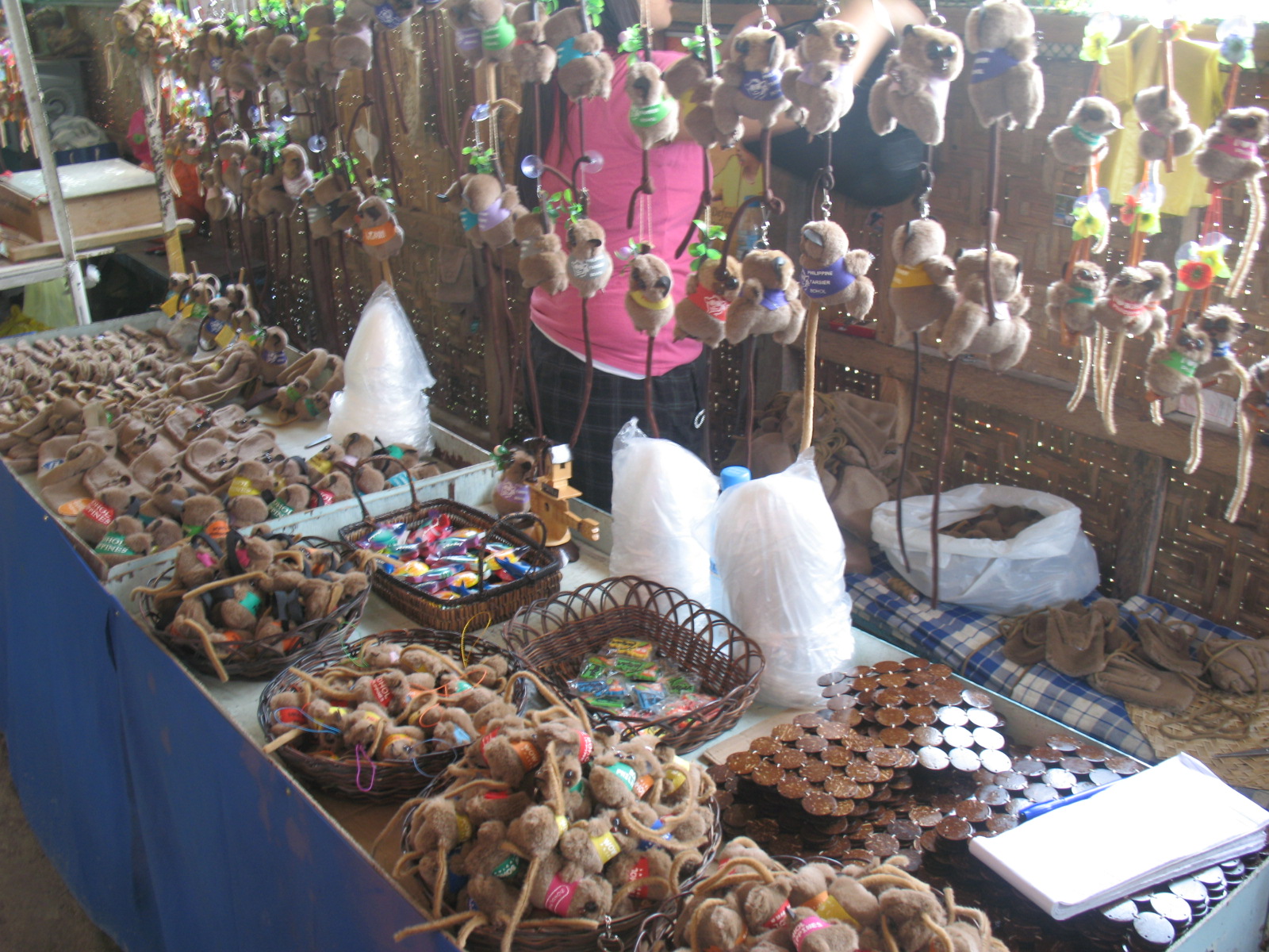 Lj Salceda's Blog :): Picture Perfect Bohol (Part 2)