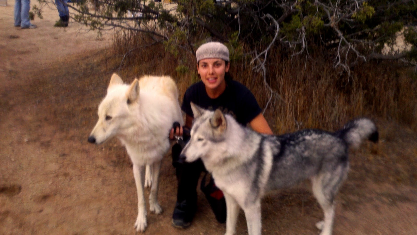 Renee - Nature Girl: On set Silver Gardens with Maya, Wolf Connections ...