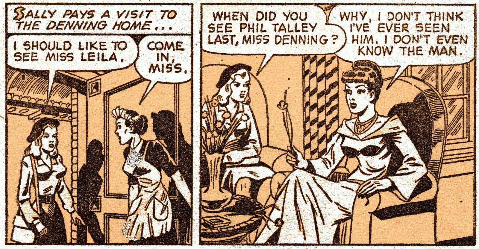 HIL-GLE Wonderblog: Sally the Sleuth Returns